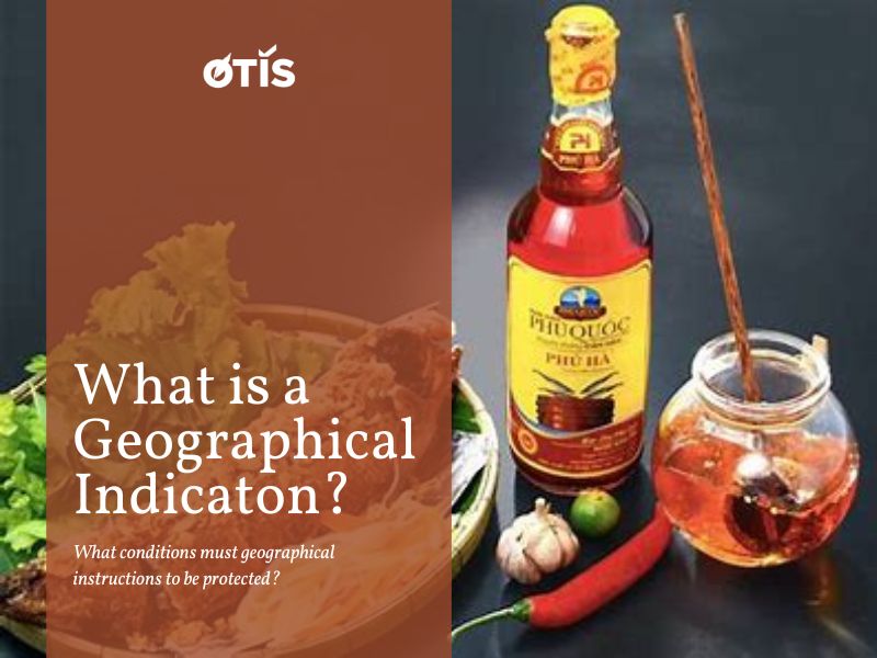 WHAT IS A GEOGRAPHICAL INDICATION? WHAT CONDITIONS MUST GEOGRAPHICAL ...